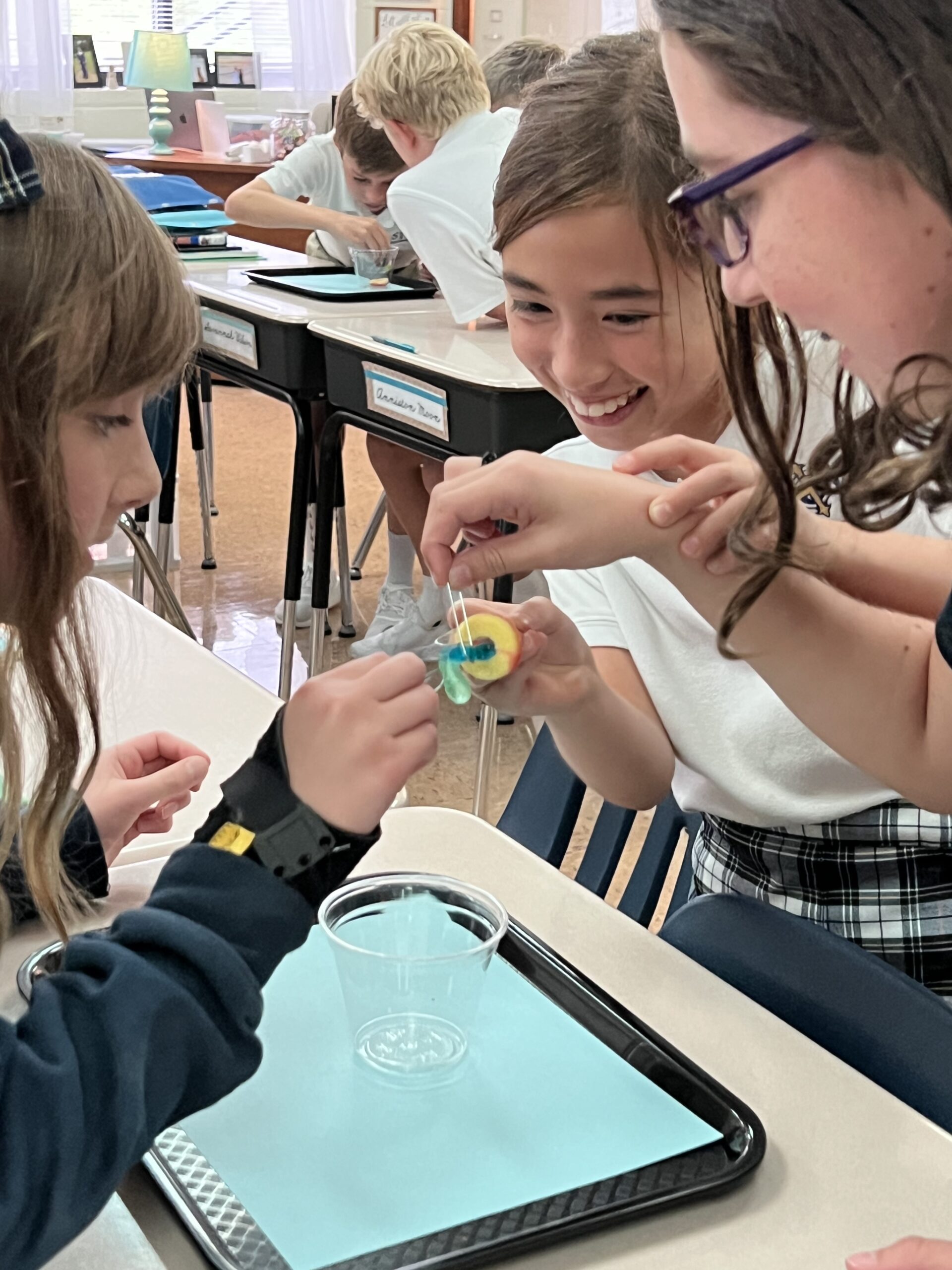 Academics – Saint Matthew Catholic School